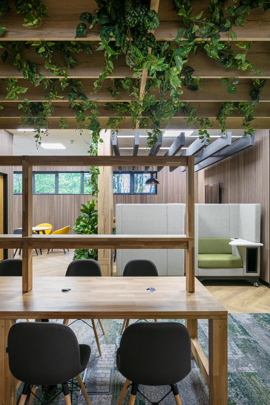 Biophilic Office Design: The Future of the Workplace | DSP Interiors