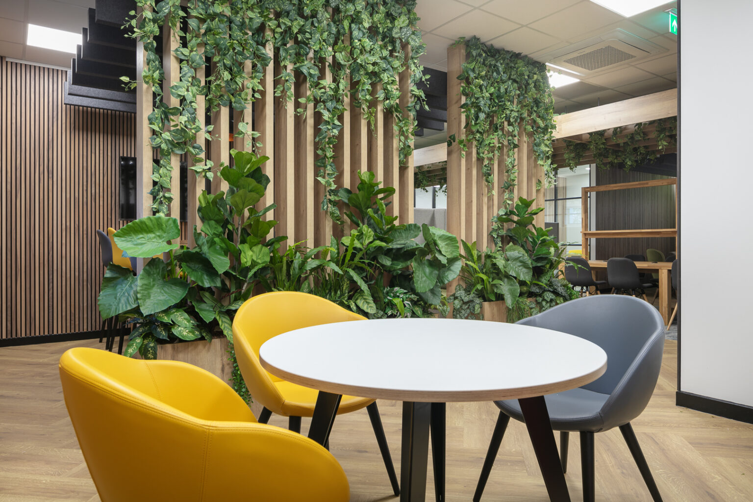Biophilic Office Design: The Future of the Workplace | DSP Interiors